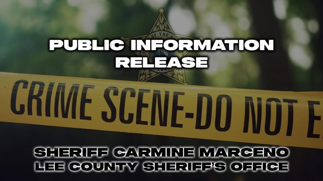 LCSO: Deputy responding to domestic call shoots armed suspect in St ...